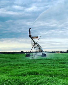 Custom Sprigging | Jasik Farms, LLC