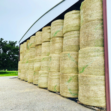 Custom Sprigging | Jasik Farms, LLC