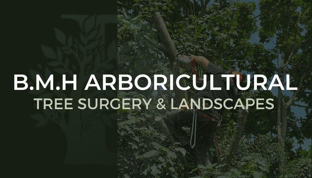 B.M.H Arboricultural | NPTC Qualified Tree Specialists