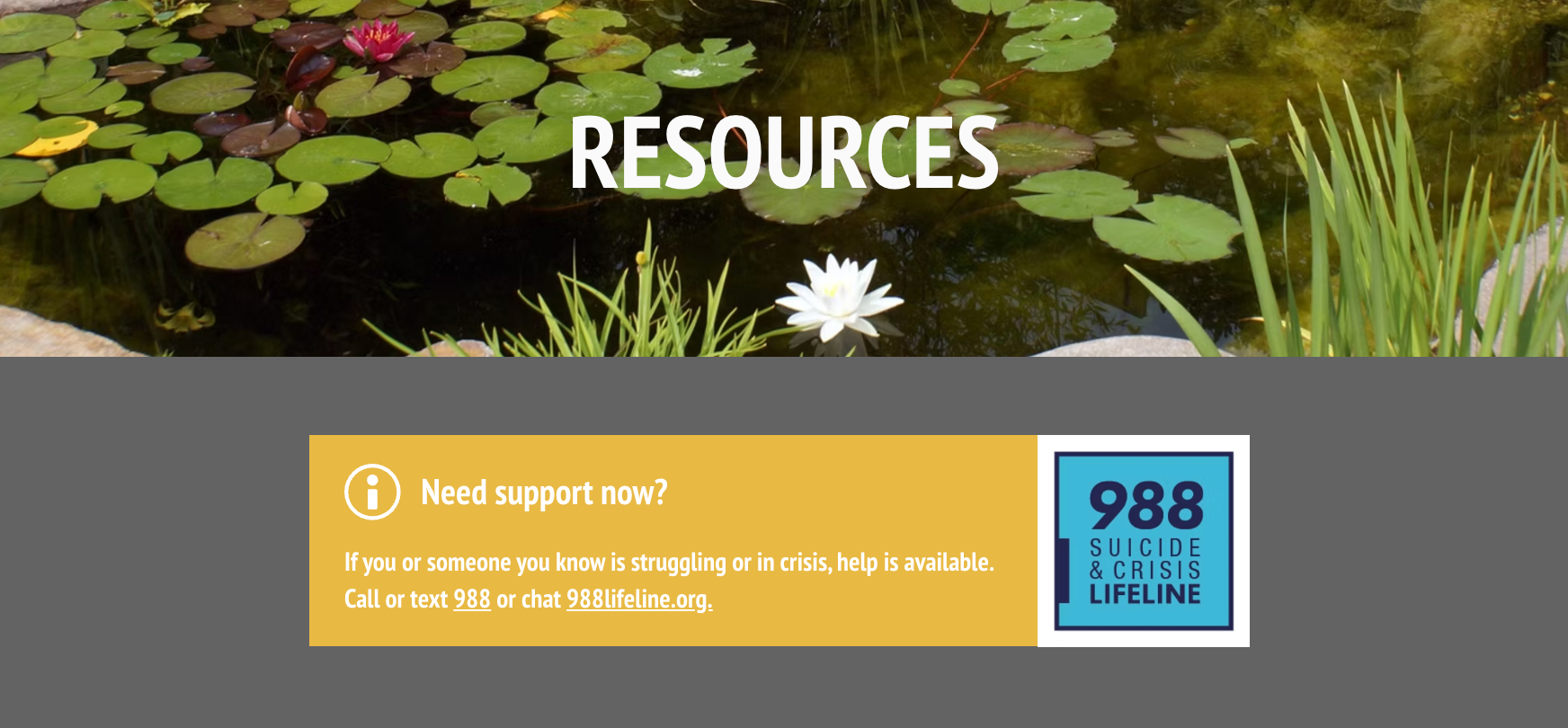 Resources | Incite Agency for Change