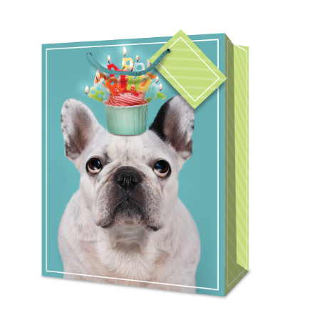 MB Bags Jumbo Birthday/Birthday | OLEGO DISTRIBUTION