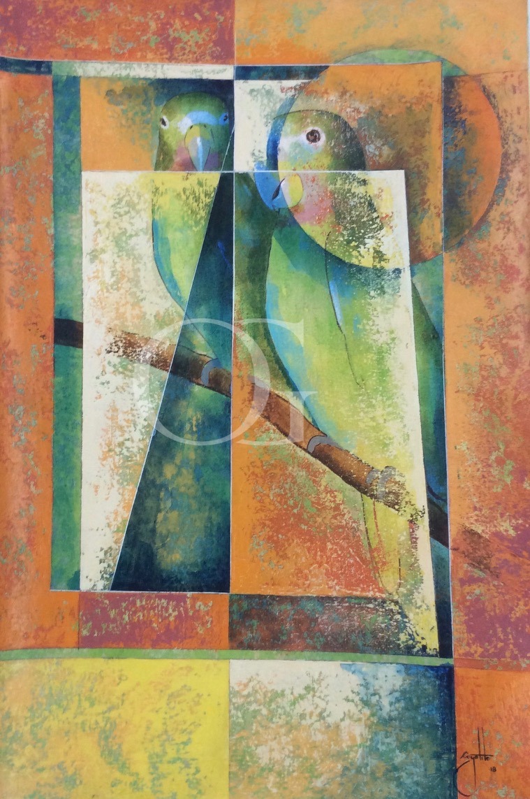 The Olympia Gallery - Coyotito