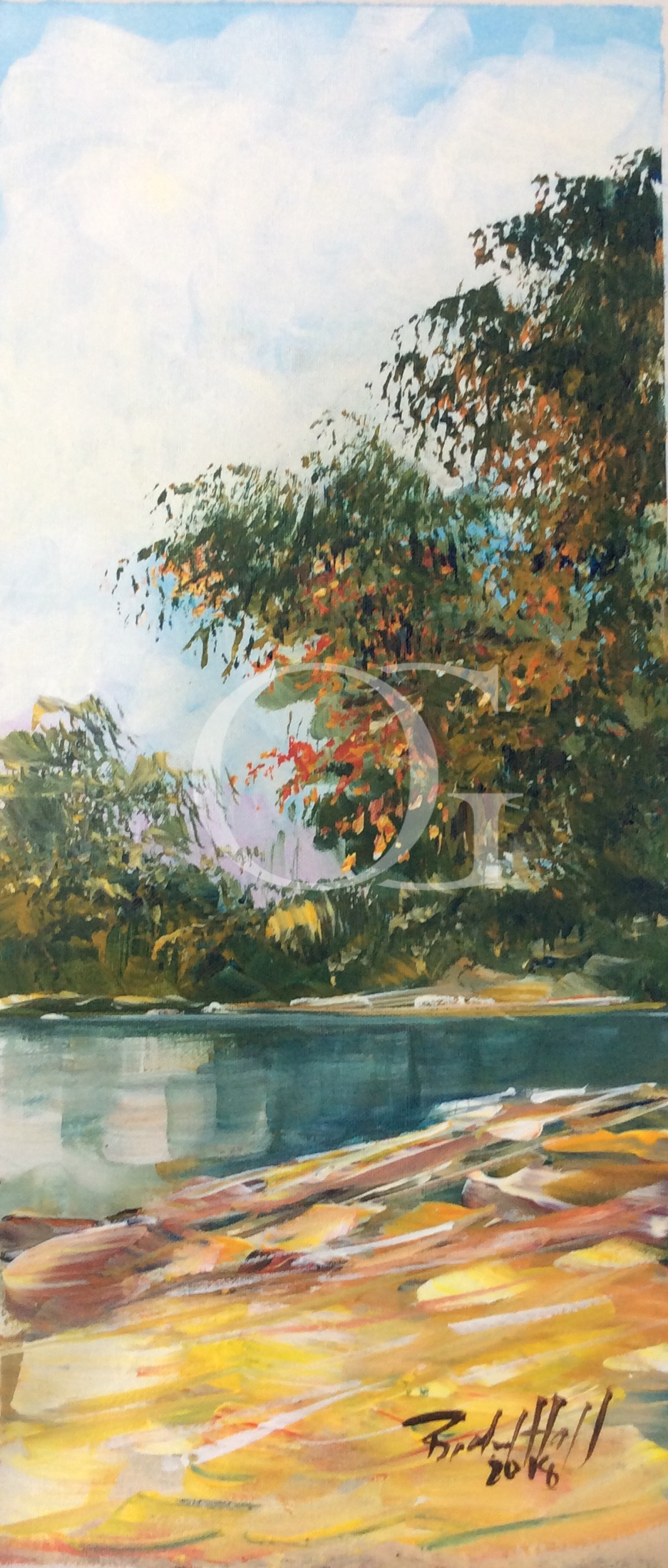 The Olympia Gallery - Richard Hall