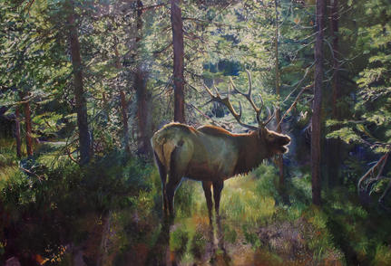 Participate in Popular Animal Art Contest | TERAVARNA