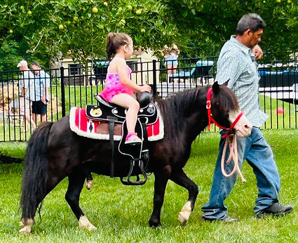 Chateau Ponies: Pony Rides, Pony Parties, & Events in Manhattan