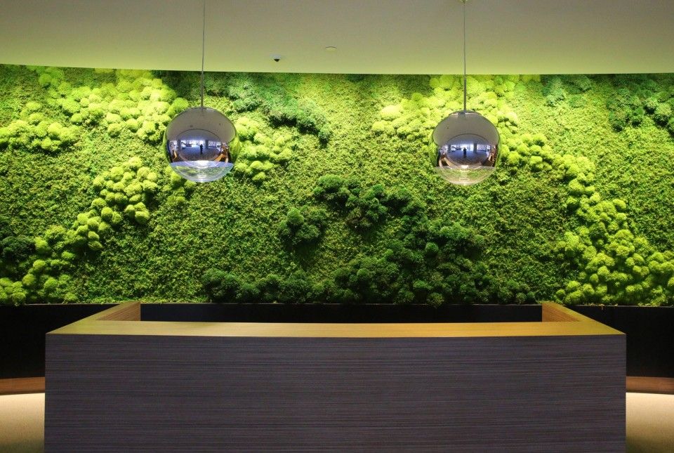 Home Décor Floral Arrangements Preserved Moss Garden Home & Living etna ...