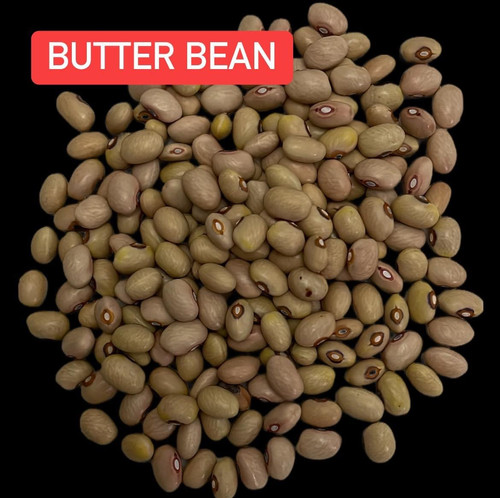 BUTTER BEAN/FB15 | Bokashi Mart
