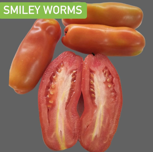 SMILEY WORMS/WT42 | Bokashi Mart