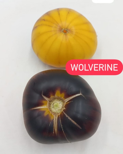 WOLVERINE/WT-400 | Bokashi Mart