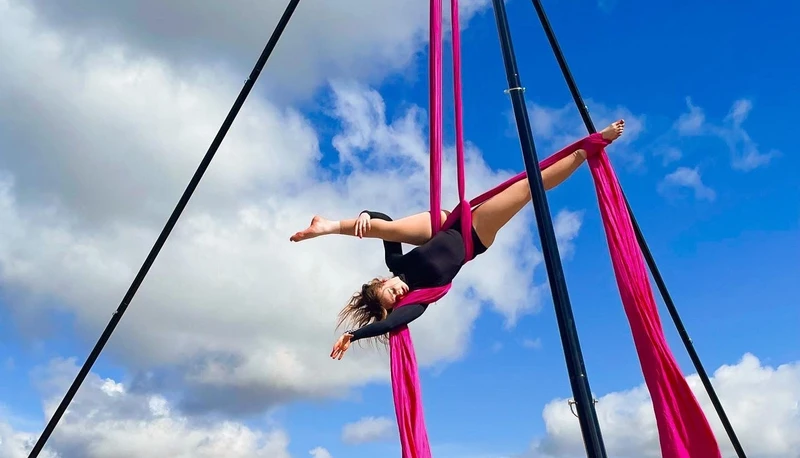 Online Training | sdaerialarts.com