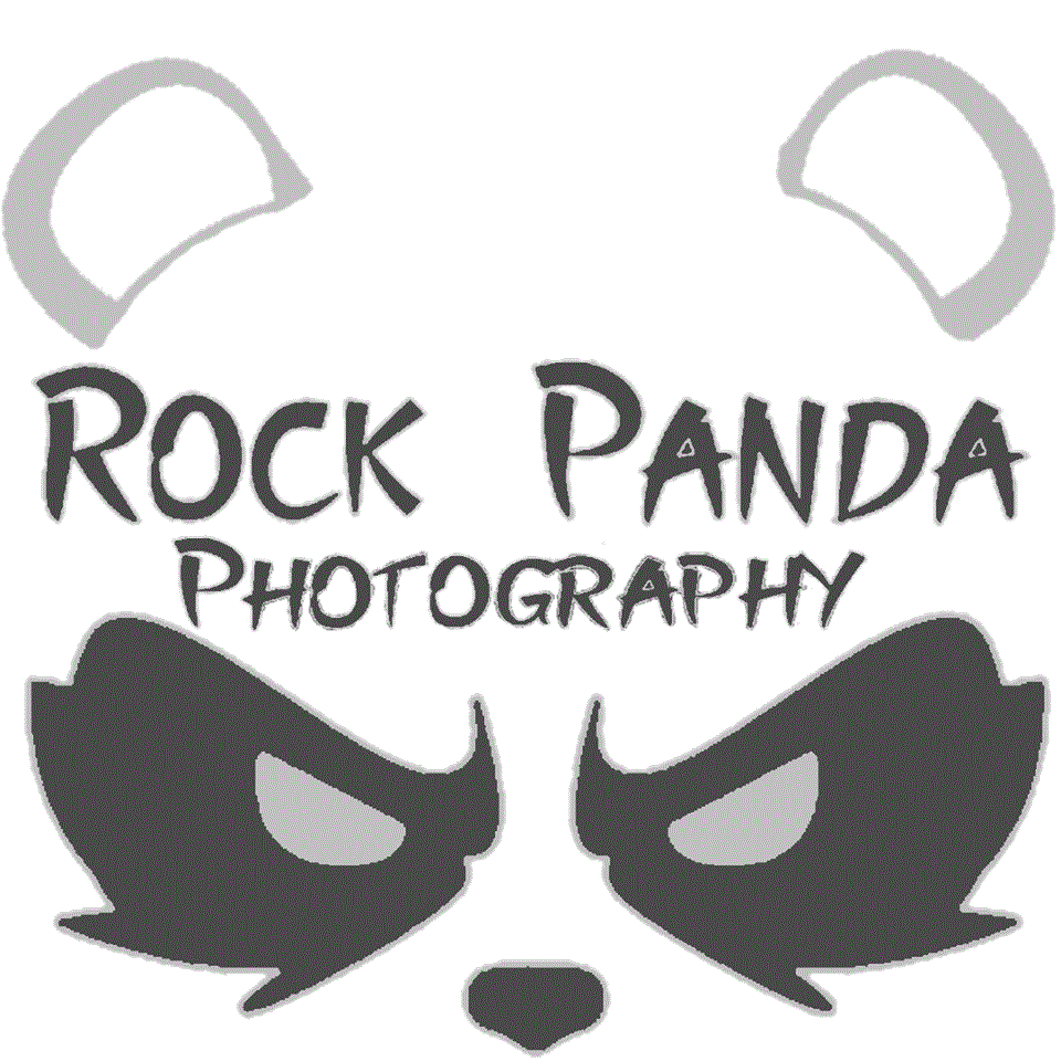 HOME | rock-panda