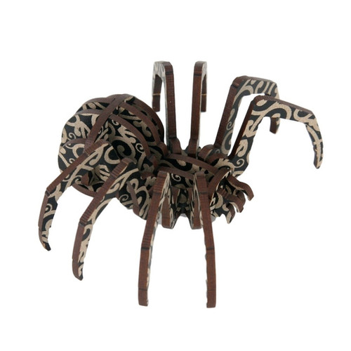 Spider | Abstract Design