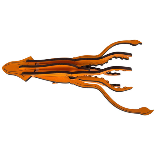 Giant Squid | Abstract Design