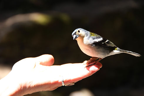 Relier — Véronique Meyers