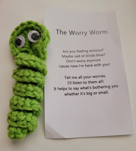 POCKET HUG - WORRY WORM | PAIR BEARS