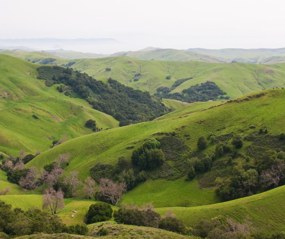 Police Law Enforcement Instructor Training | Tacfire | Rolling Hills ...