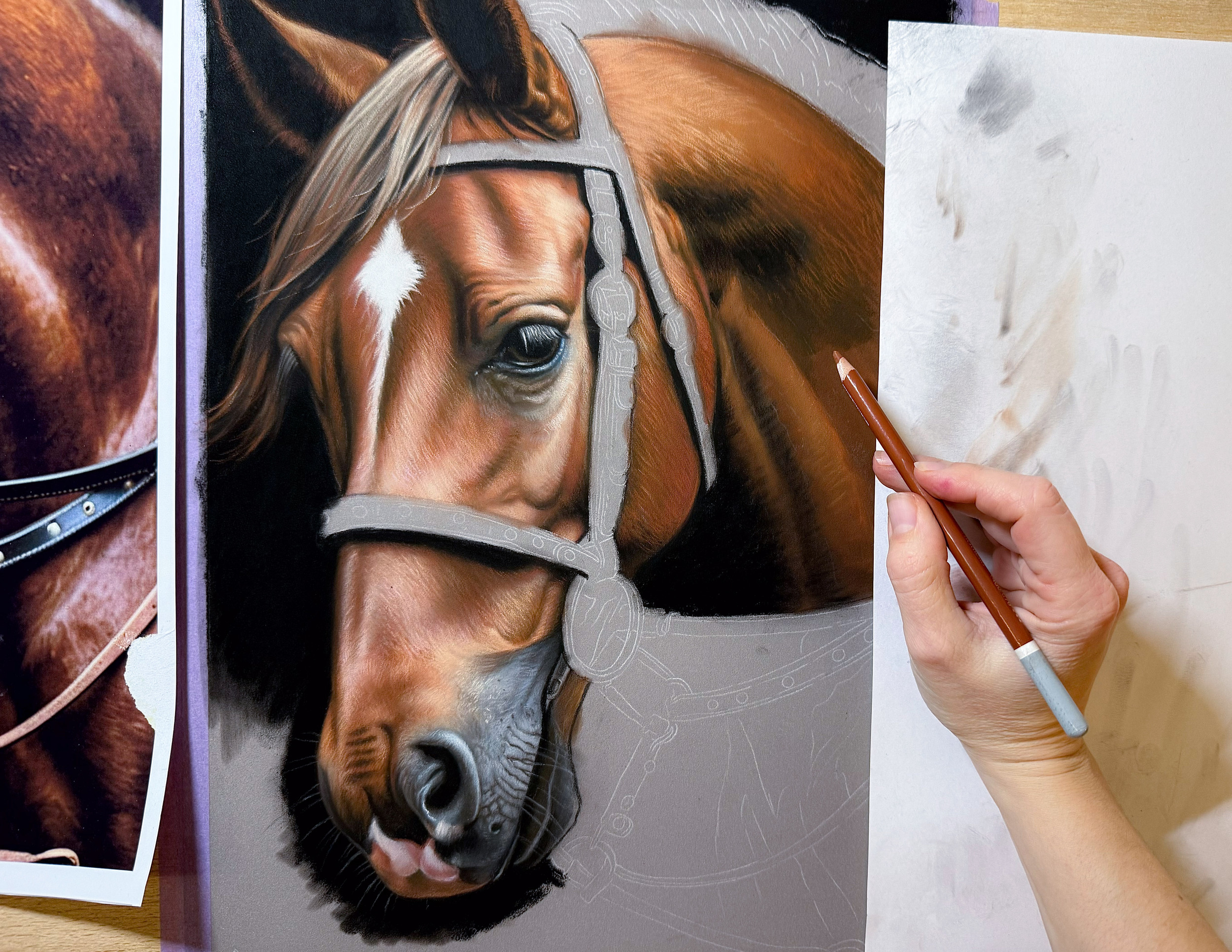 Alessandra Pagliuca E-learning | Corso online di disegno a pastello: il ...