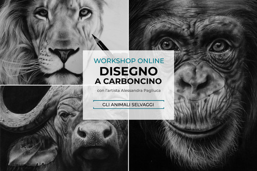 CARBONCINO - Animali selvaggi | Alessandra Pagliuca E-learning