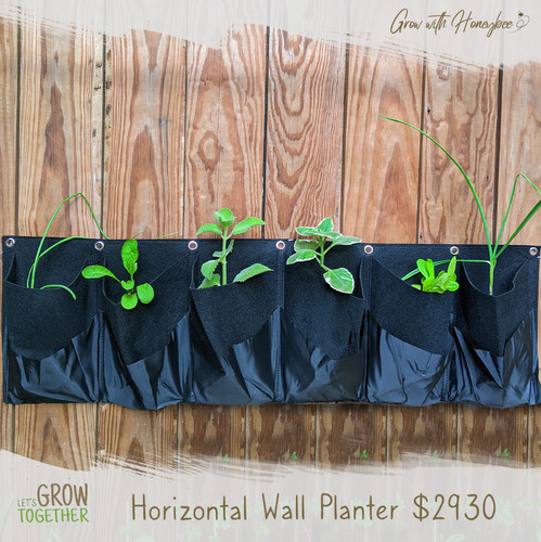 Horizontal Wall Planter | Growwithhoneybee