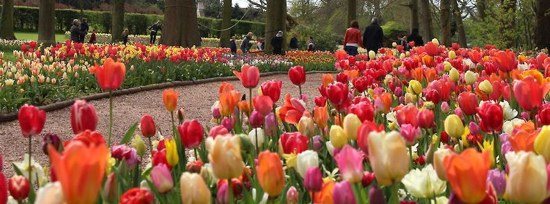 WalkEurope Holland & Belgium Tulip Time Garden Tour