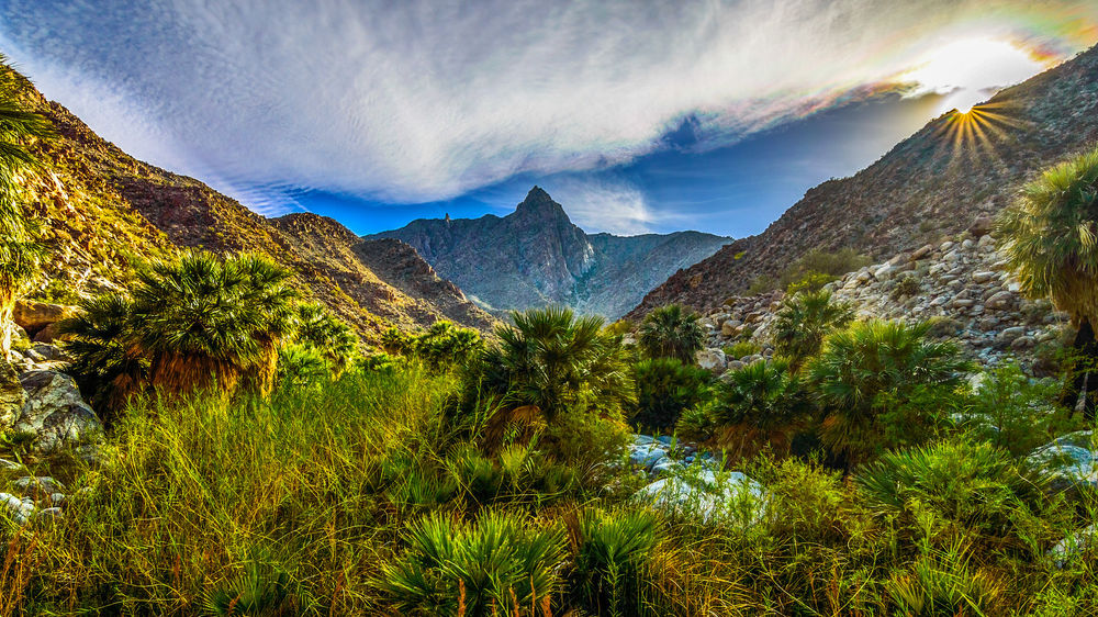 Discover the Hidden Oases Baja