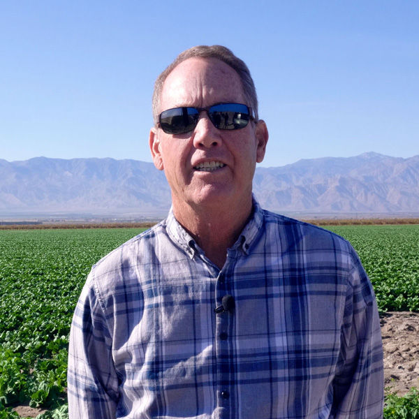 Brad Lee | The Green Desert