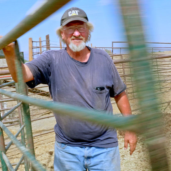Bob Taken | The Green Desert