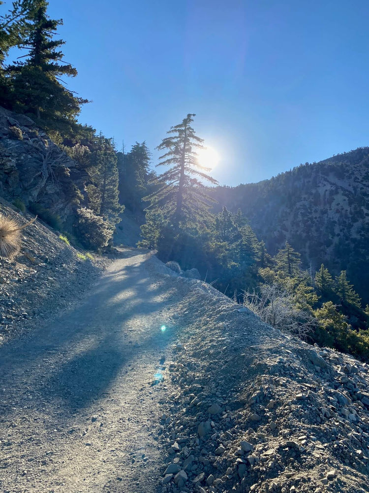 Things To Do In Claremont California | Staycation Guide