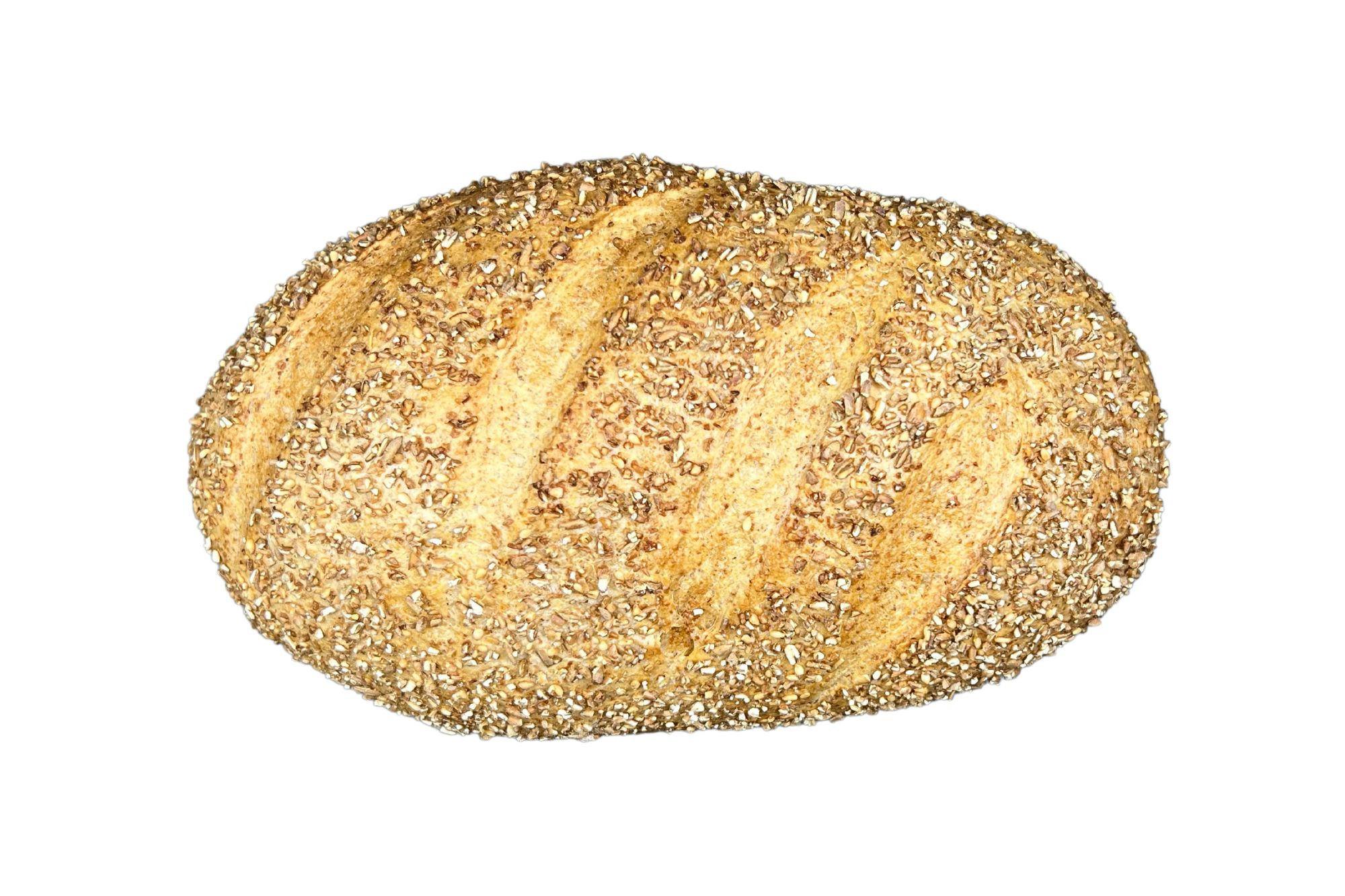 roggen-schrot-brot