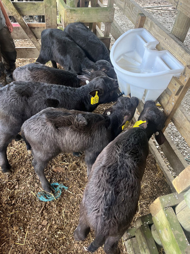 All Products | Corner Paddock