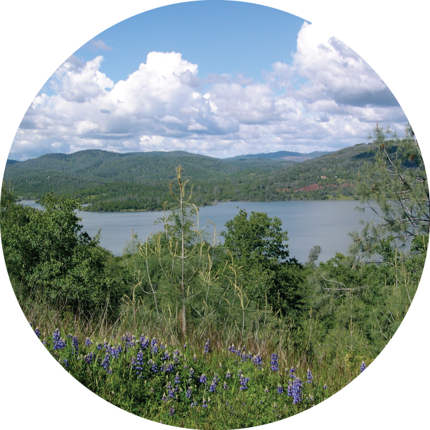 Collins Lake Monday Update