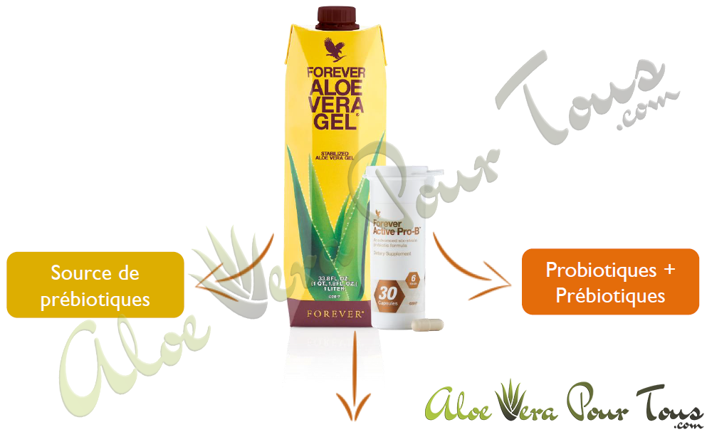 Forever Active Pro-B: Pourquoi prendre des probiotiques régulièrement