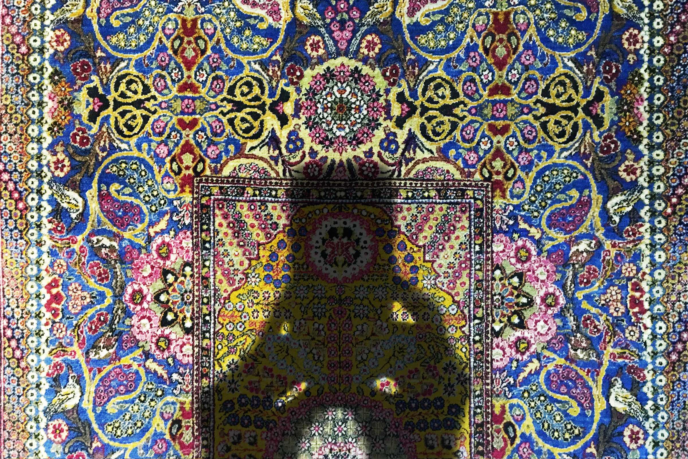 Esmeralda Kosmatopoulos | Foreign shadow