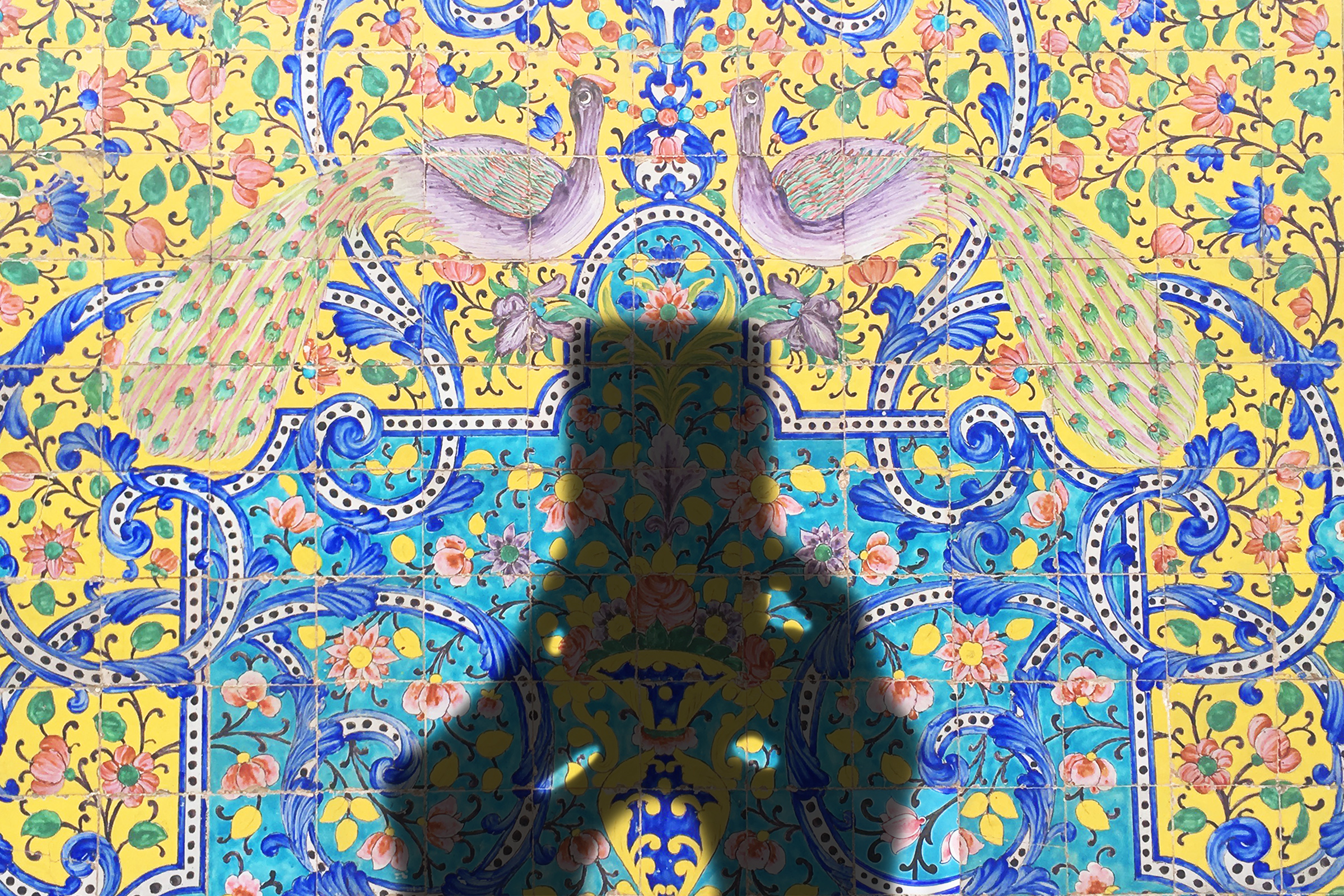 Esmeralda Kosmatopoulos | Foreign shadow