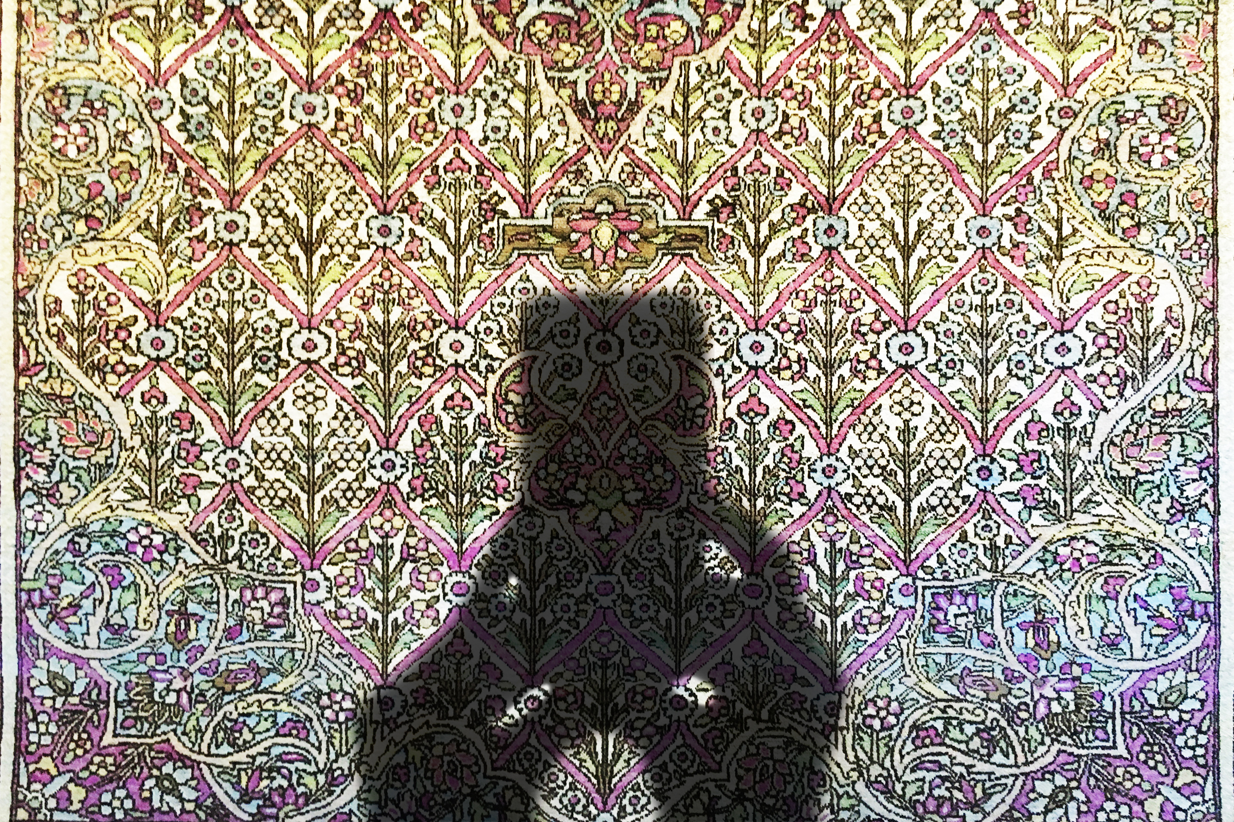 Esmeralda Kosmatopoulos | Foreign shadow