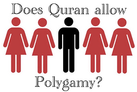 islam polygamy