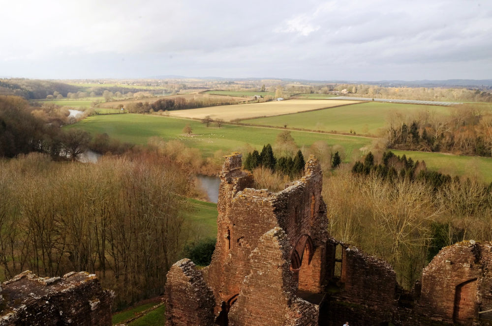 UK: Exploring the Forest of Dean