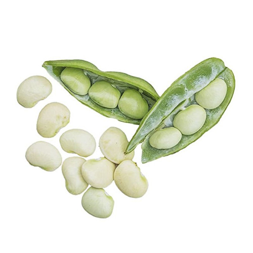 Pallar Fresco | Biocampo