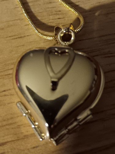 Locket opens up for 4 pictures then snaps to close | My Site