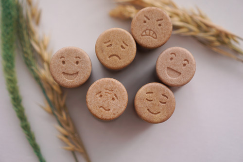 Steinwalzen Let’s Roll Emotions | mikids