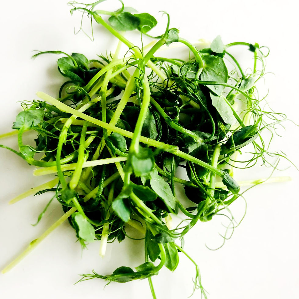 Pea Micro | Fernside Microfarm