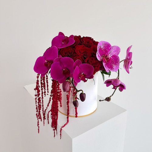 Luxury orchids and roses | Same-day flower delivery South Beach