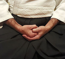 Korinji Rinzai Zen Monastery | Meditation | WI, USA