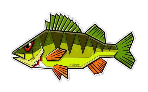 2 3/4" x 5" Cartoon Perch | Boneyard Fly Gear