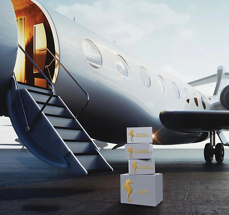 Luxury Private Jet Catering in Nassau | Flying Seahorse