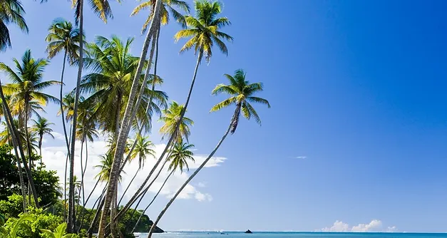 MAYA Maldives Locations | Gourmet Jet Catering Across Maldives Islands