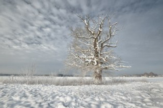 how to draw snow photoshop