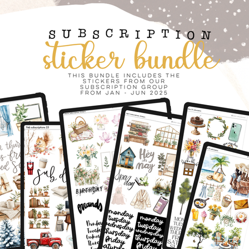 Jan- Jun 25 Subscription Sticker Bundle | Breezyorganization