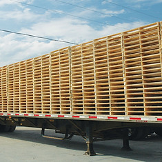 Pallets | GB Pallets | Shorne