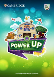 Power Up Level 1 Flashcards (Pack of 179) | Sheridan Educational Services